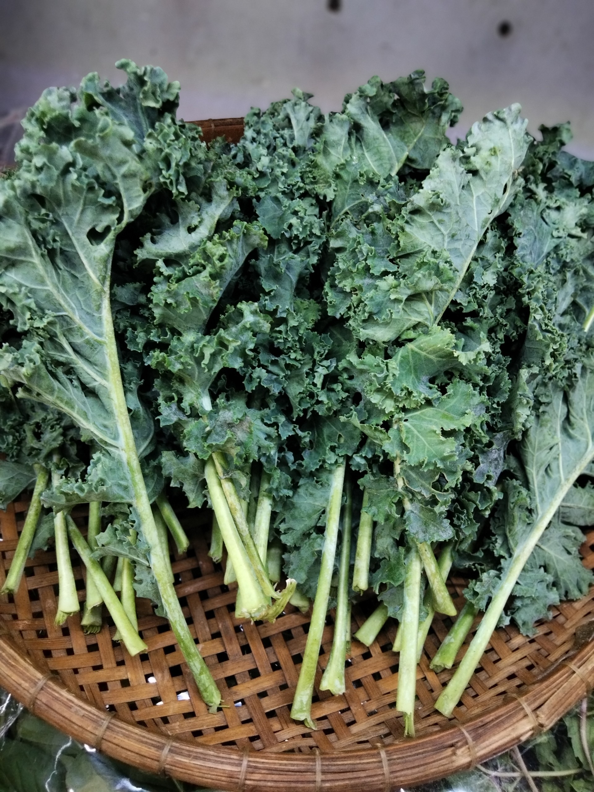 Cải Xoăn - Cải kale - Rau sạch - Hữu cơ Việt Tâm
